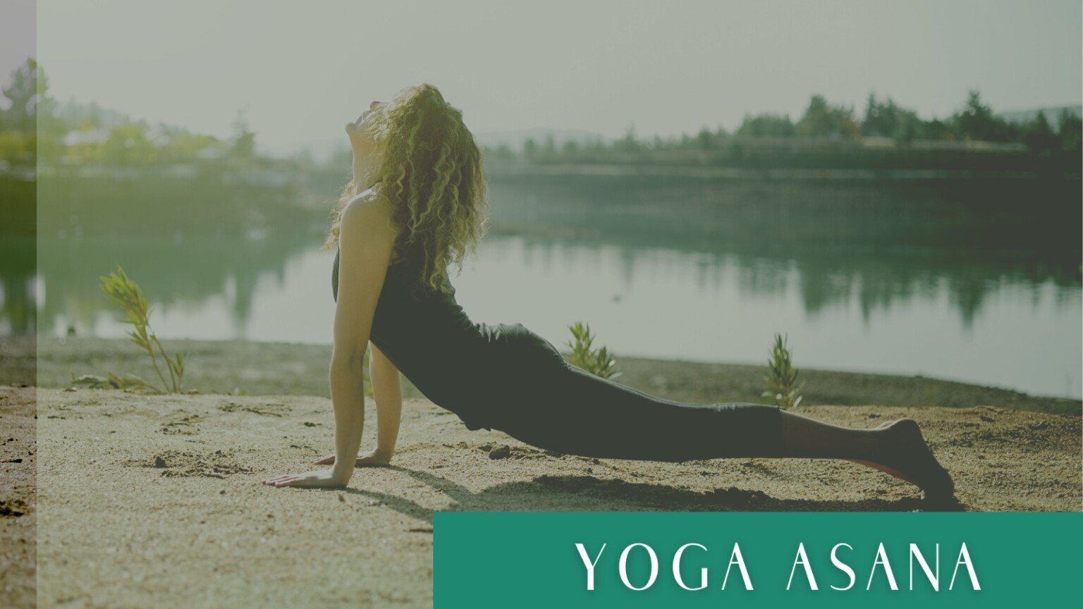 7 Day Detox, Yoga & Meditation India Retreat: Start your Authentic ...